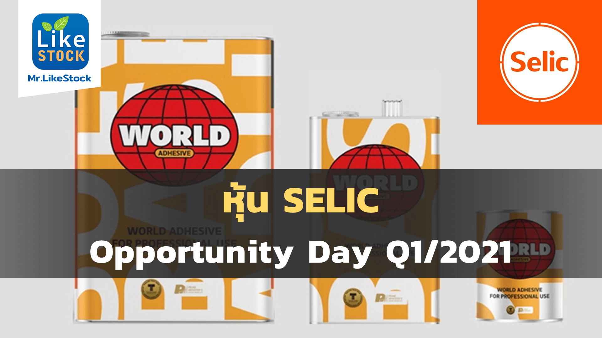 หุ้น SELIC – Opportunity day Q1/2021 | Mr.LikeStock